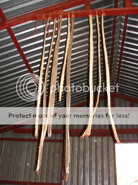 SA natives put their sjamboks to use on criminals | The FAL Files