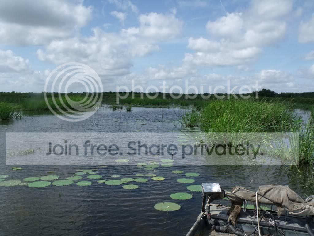 Habitat for teal- types of places to set up - Texas Hunting Forum